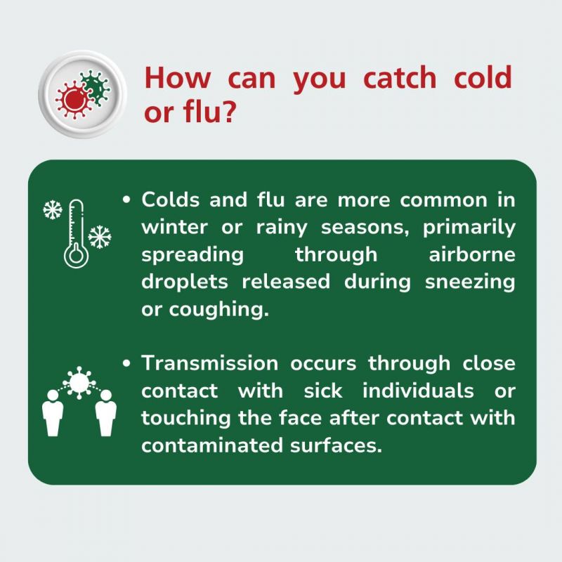 How To Navigate The Cold And Flu Season?